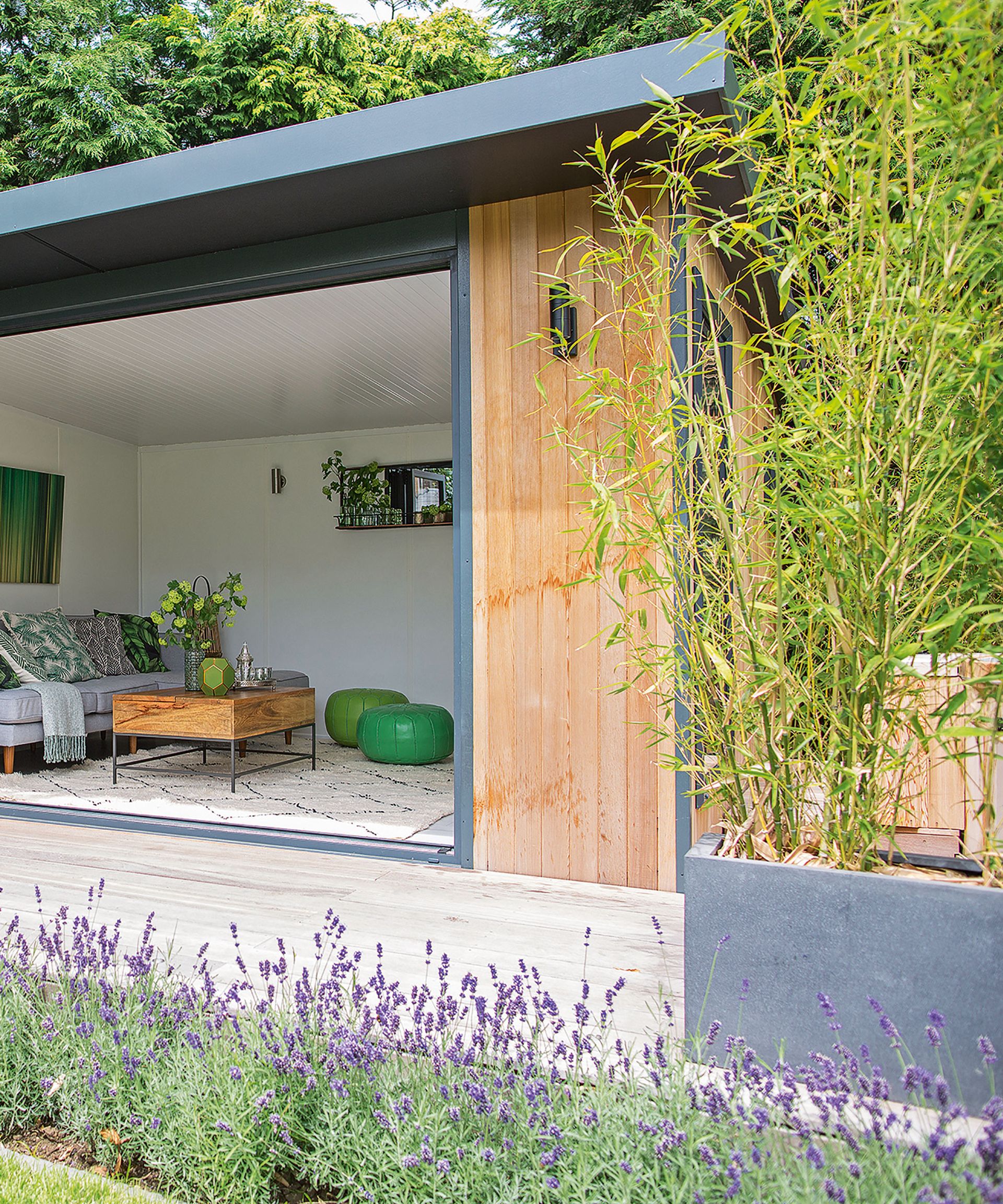Best patio plants: 11 stunning options for paved spaces | Homes and Gardens