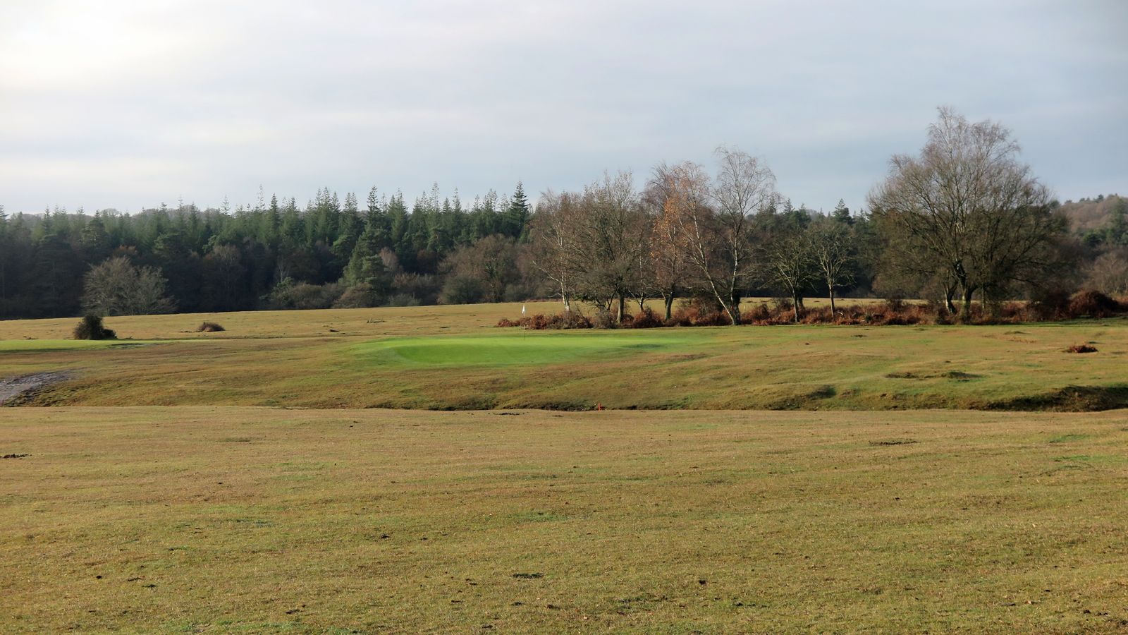 Bramshaw Golf Club Forest Course Review | Golf Monthly