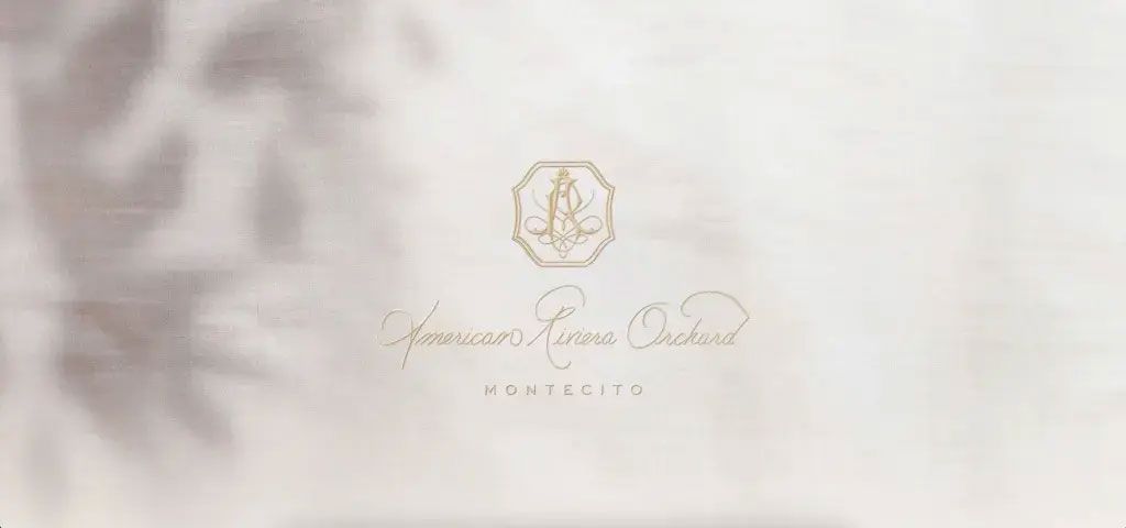 Meghan Markle's logo rejection presents a golden design opportunity ...
