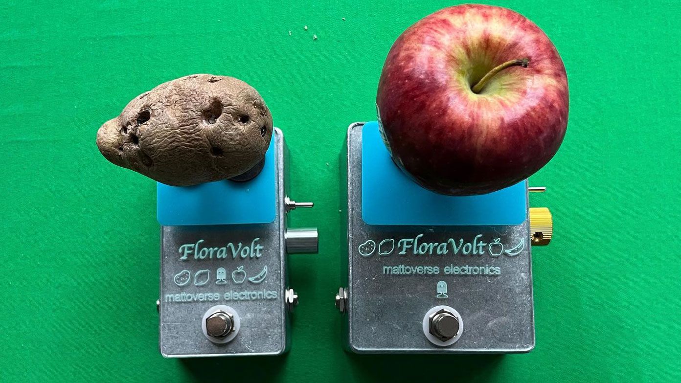 Meet the FloraVolt, a fruit-powered guitar pedal | Guitar World