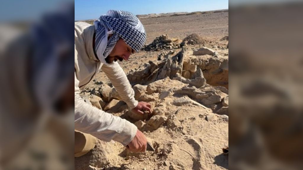 7,000-year-old tomb in Oman holds dozens of prehistoric skeletons ...