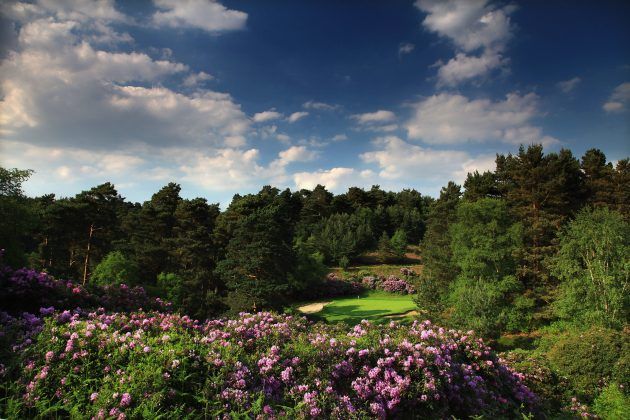 Woburn Golf Club Duke's Course Review, Tee Times and Key Info | Golf ...