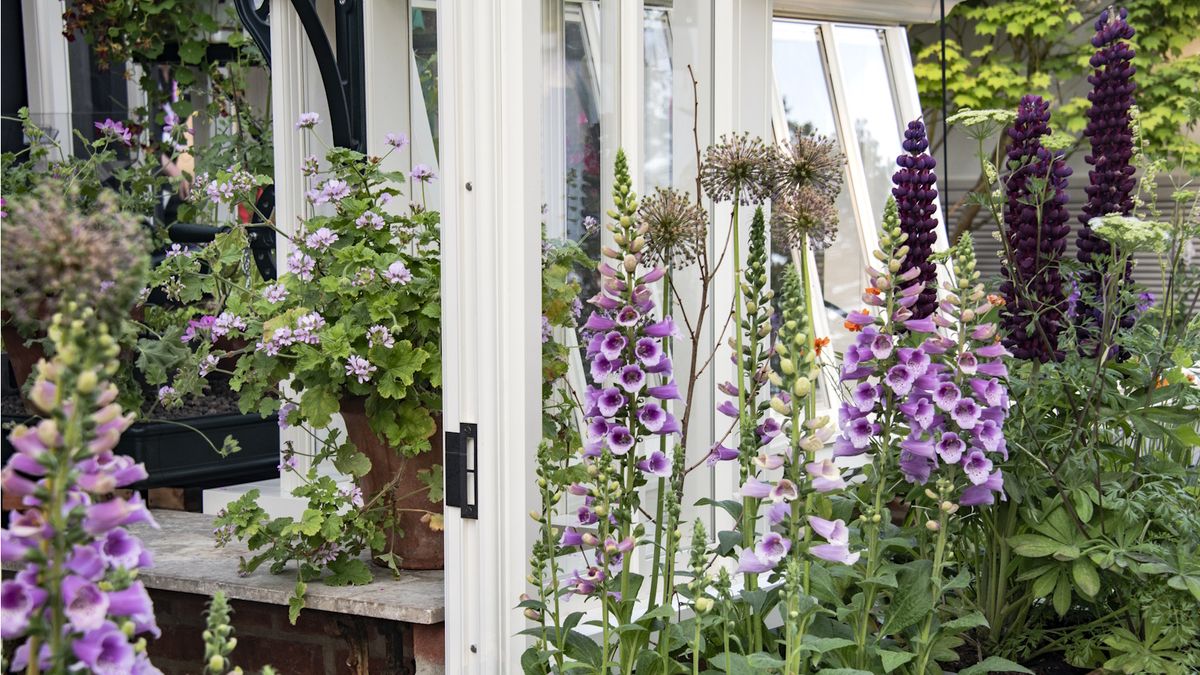 The Victorian Language of Flowers: 9 Blooms and Meanings | Homes and ...