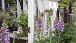 L-shaped garden ideas to help you create a visually pleasing space ...