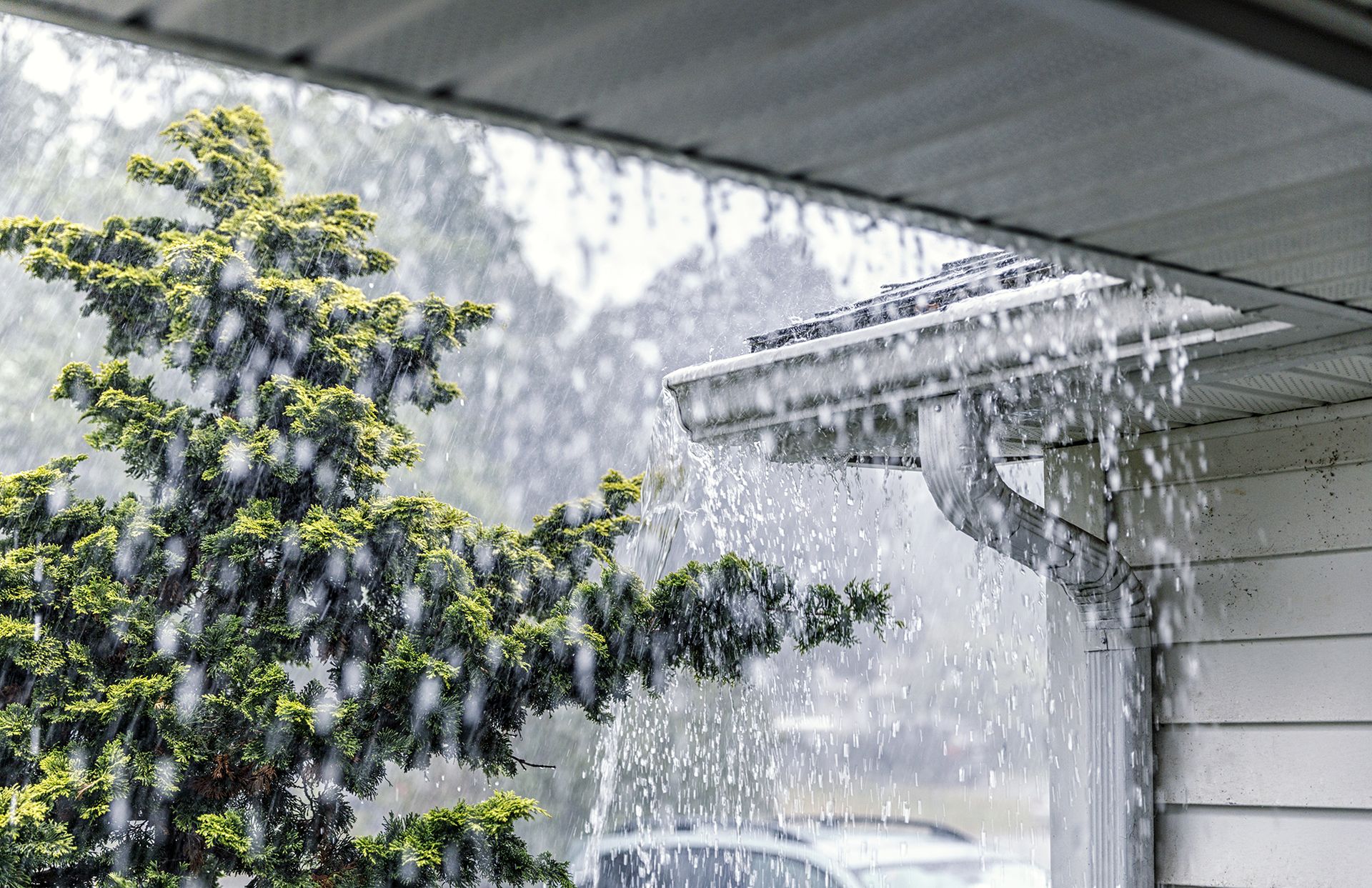 Rainwater harvesting: methods and advantages | Homes and Gardens