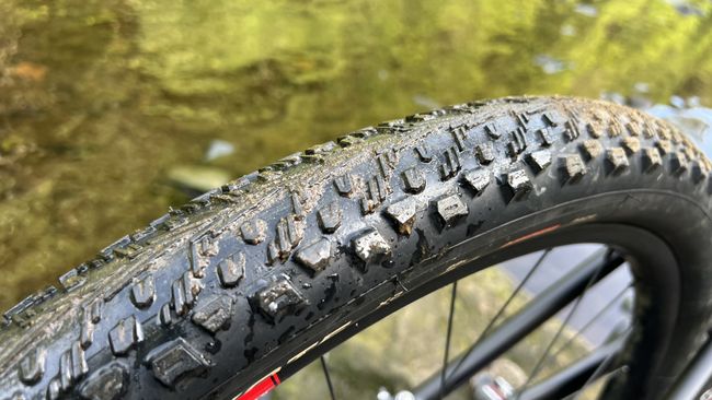 Vittoria Peyote XC Race Formulation tire review | Bike Perfect