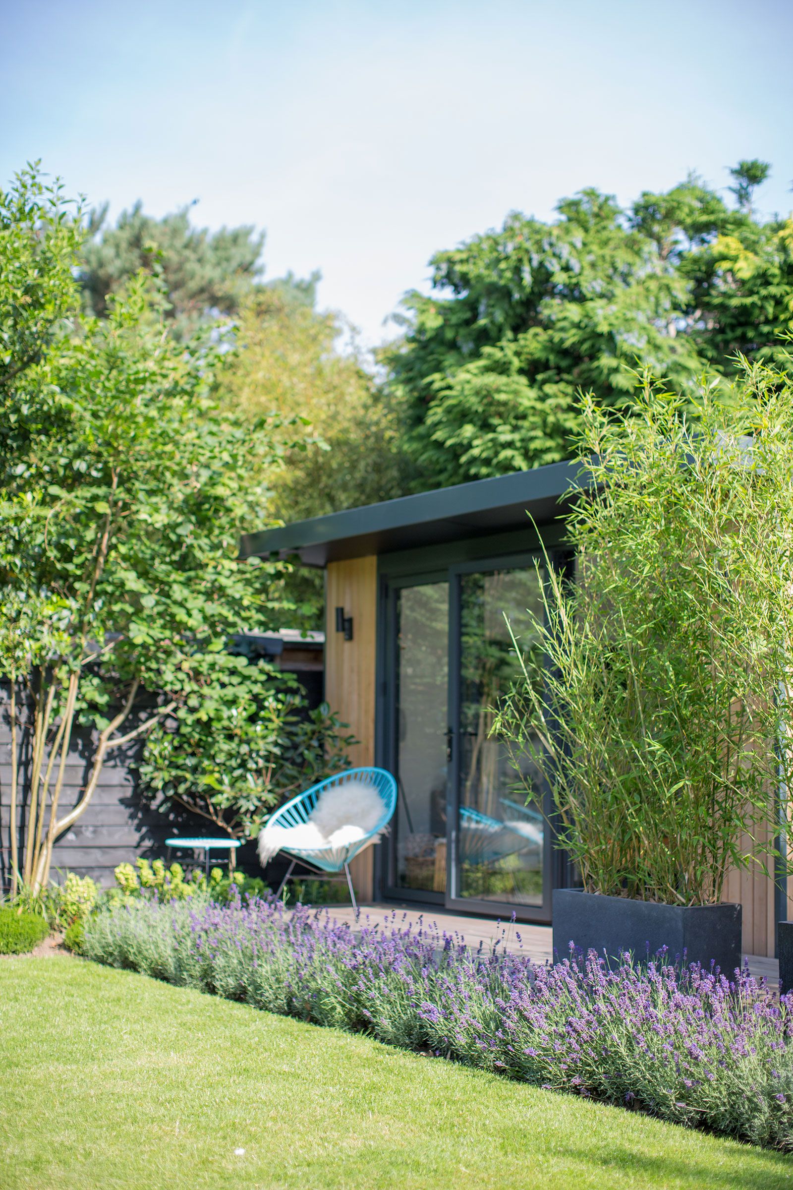 Best trees for privacy – 15 ideas to screen your yard | Homes and Gardens