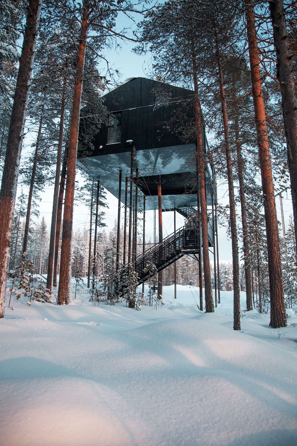 Amazing Treehouse Design Ideas: 10 Modern Treehouses That Inspire