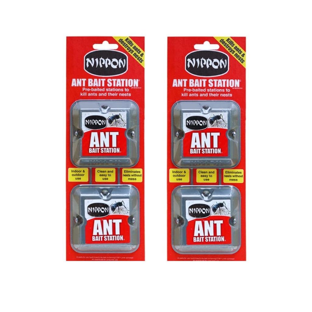 Asian needle ants are spreading fast - here's what you need to know ...