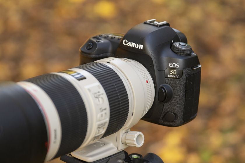 News and Reviews on the Latest from Canon in 2025 | Digital Camera World