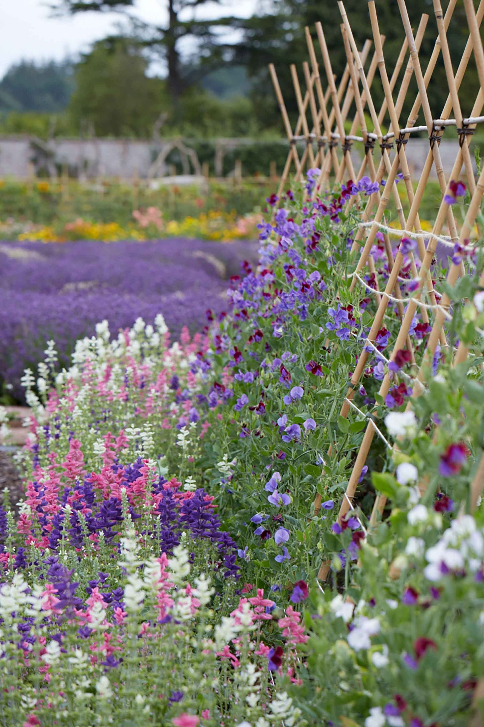 Flower bed ideas: 24 ways to create floral displays outdoors | Gardeningetc