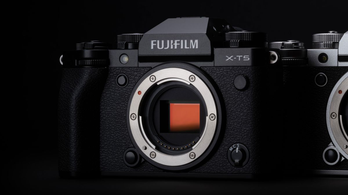 APS-C vs full frame: what you need to know to help you choose the right ...