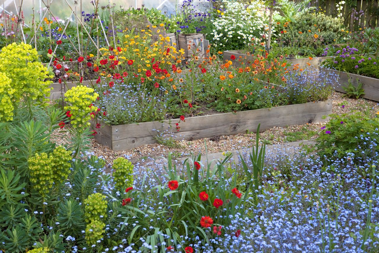 Cottage garden ideas: 32 inspiring spaces and layouts