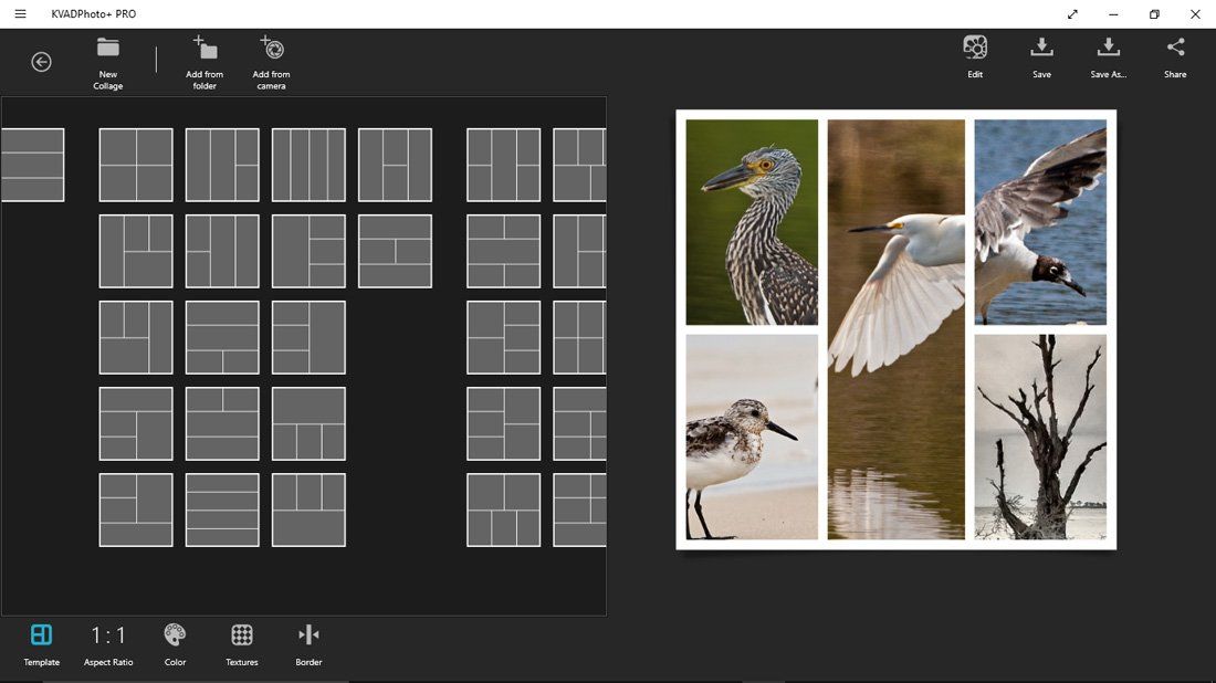 KVADPhoto+ Pro: pro-style photo editing tools made easy on Windows 10 ...