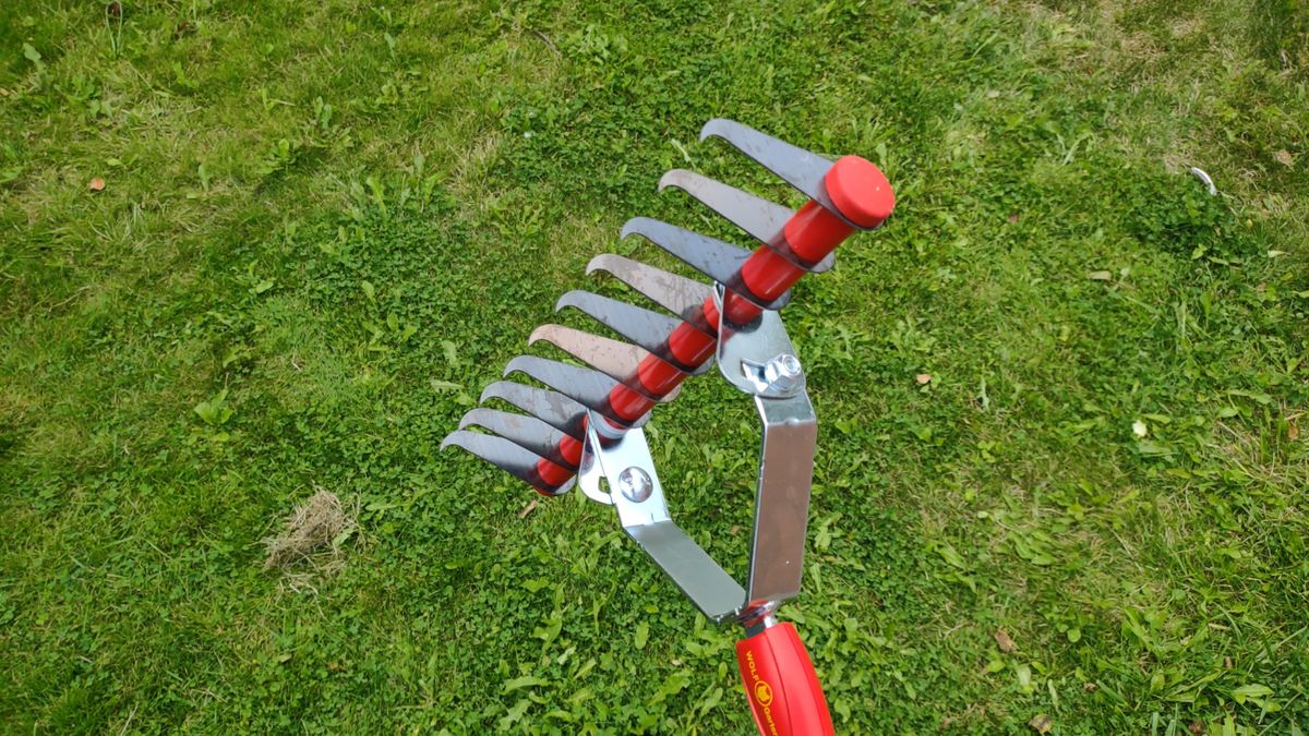 5 things to know before dethatching your lawn | Top Ten Reviews
