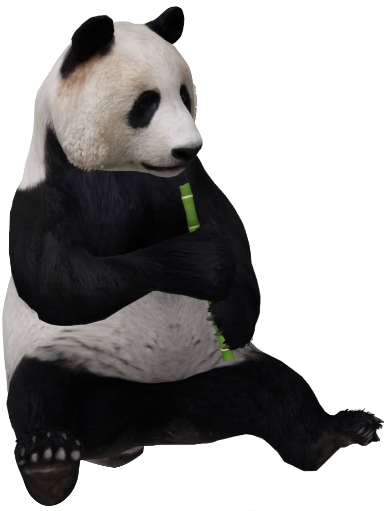 Google 3D animals & AR objects: Full list & gallery | Android Central