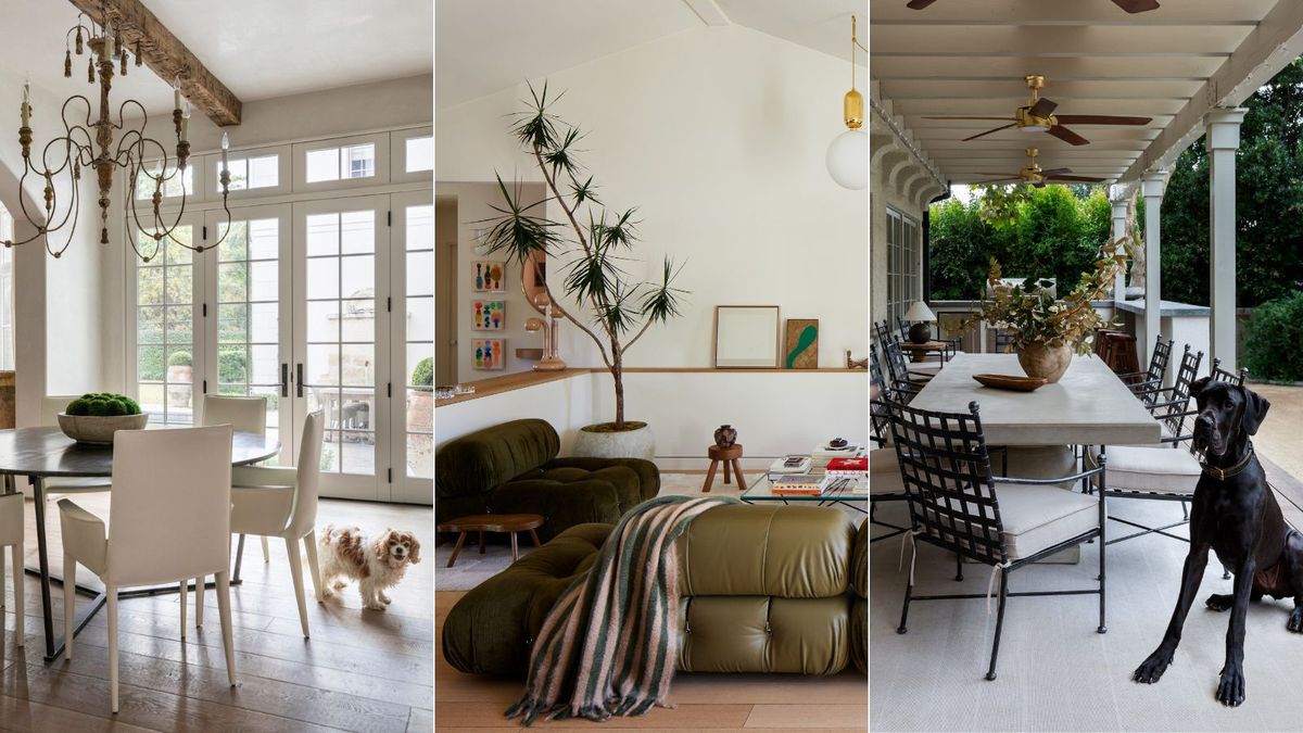 How to dog-proof your home in the most stylish way | Homes and Gardens