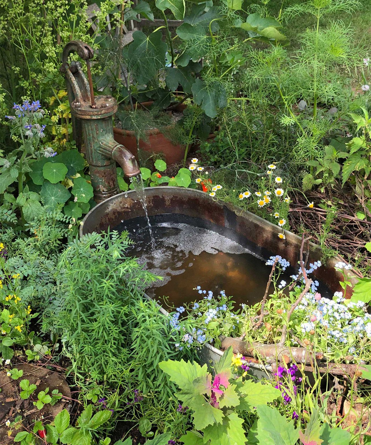 Homemade water feature ideas you can DIY: 10 easy projects to try ...