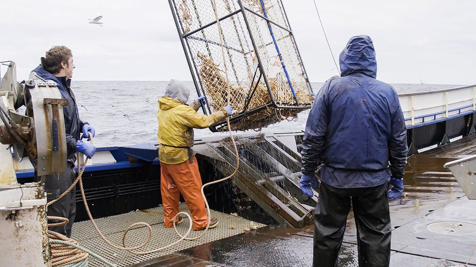 Best fishing shows to stream right now | What to Watch