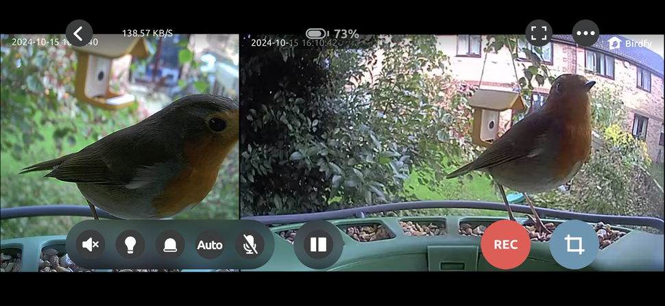 Birdfy Feeder 2 Duo review: birdwatching just doubled its fun! | TechRadar