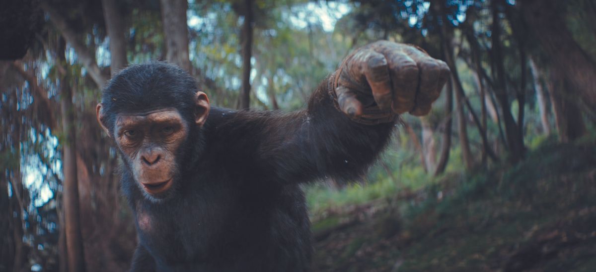 Age of the Ape: Uncovering the VFX behind Kingdom of the Planet of the ...