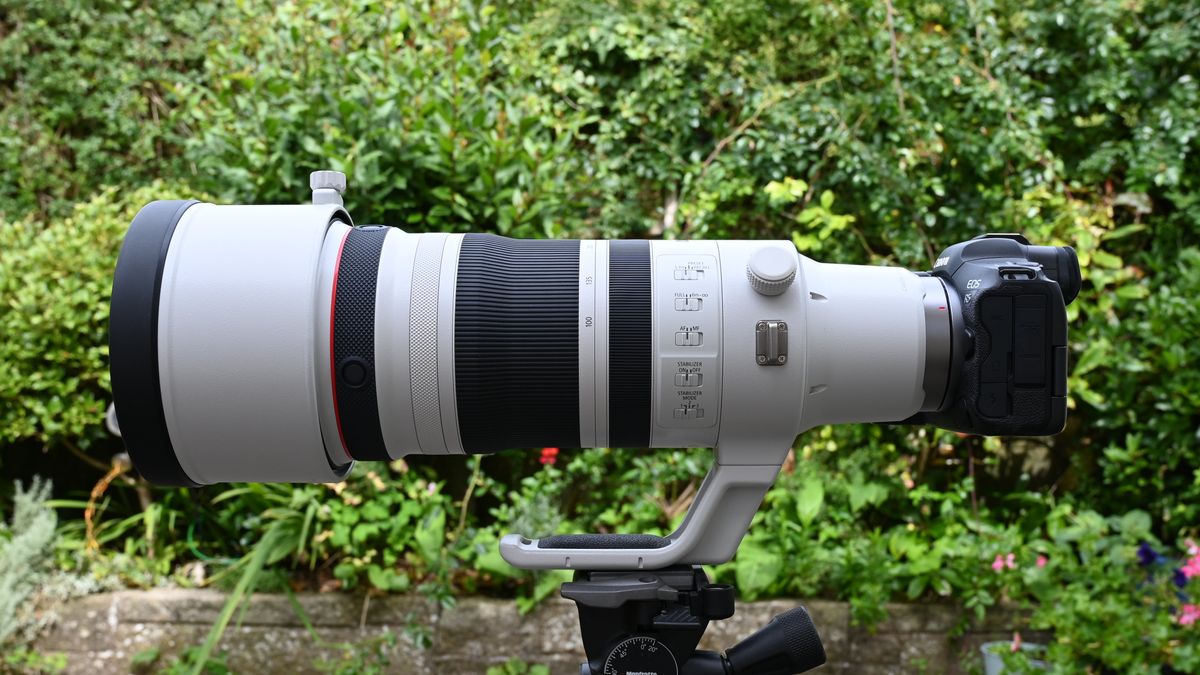 Canon RF 100-300mm F2.8L IS USM review | Digital Camera World