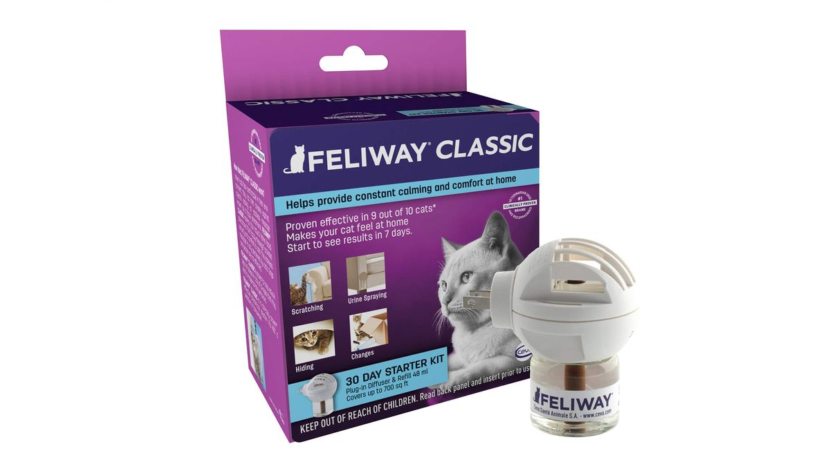 Feliway explained: How Feliway can help stressed cats | PetsRadar