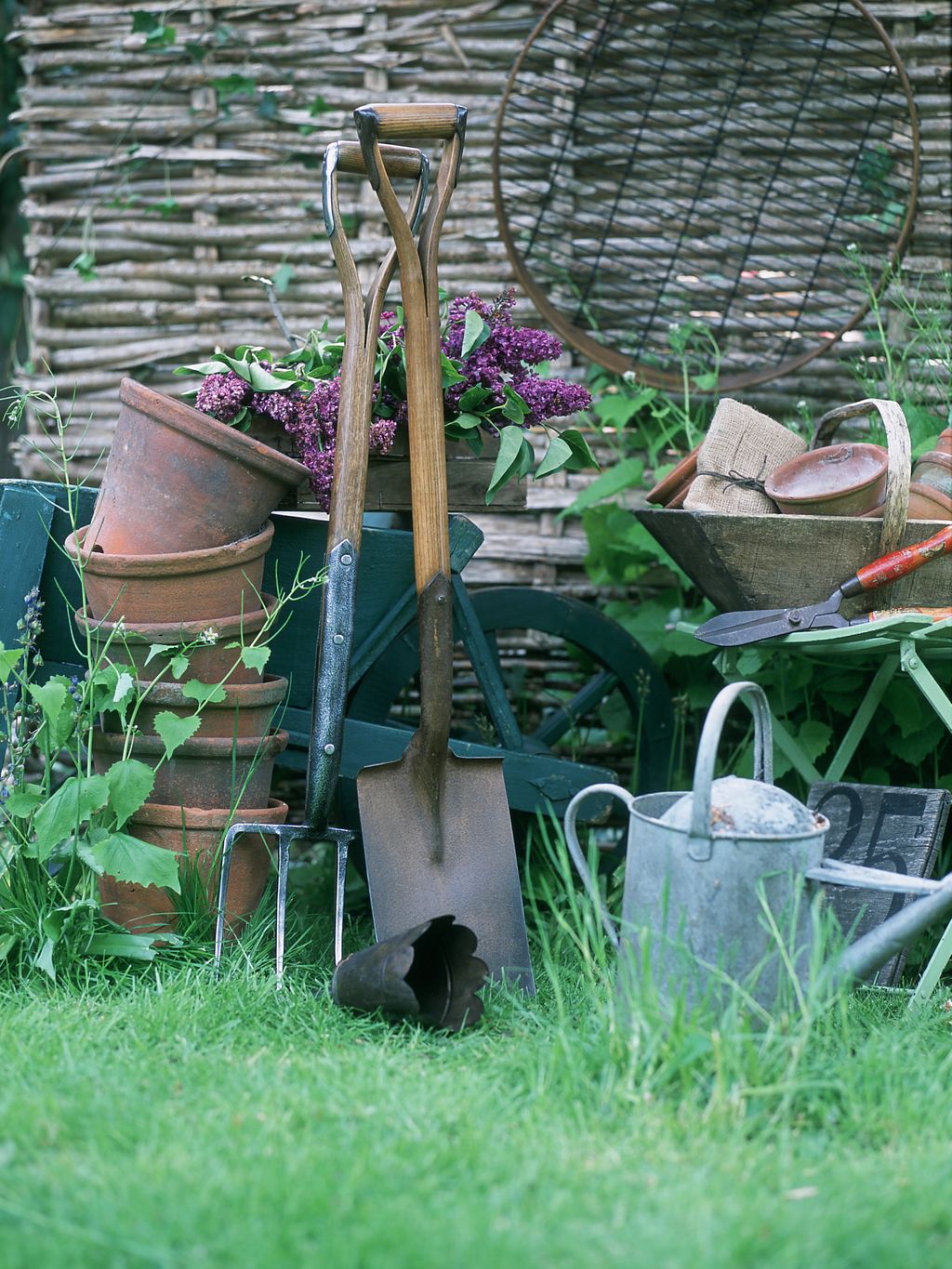 How to clean garden tools – to make cutting and pruning easier | Homes ...