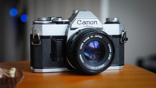 How to find your Canon camera shutter count in TWO simple steps ...