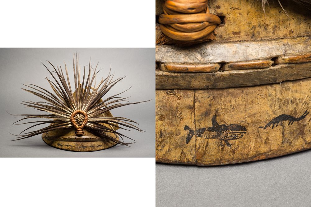 Whale Album: Giants of the Deep | Evolution of Whales & AMNH: Page 4 ...