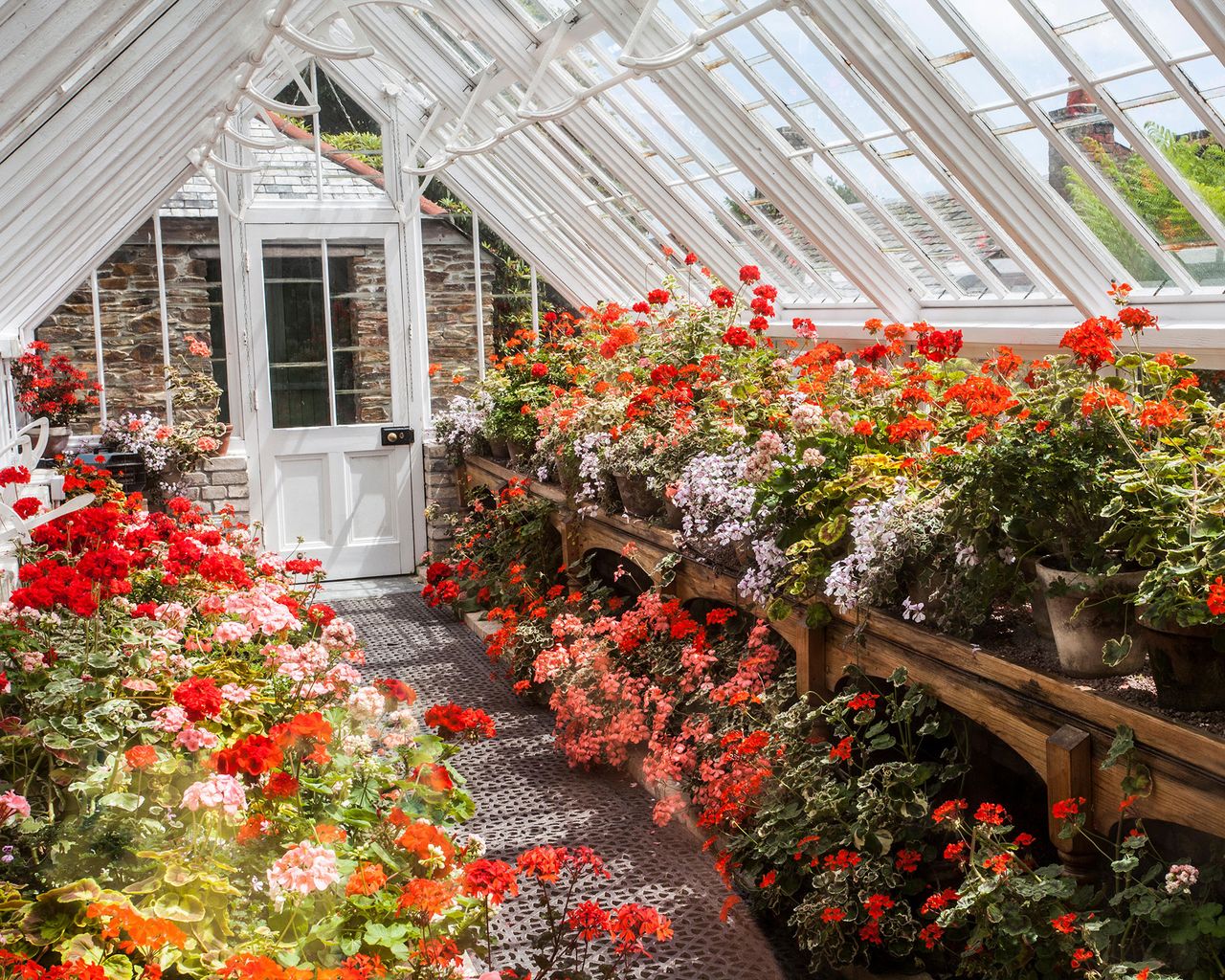 What to plant in a greenhouse: 10 top crops to grow | Gardeningetc