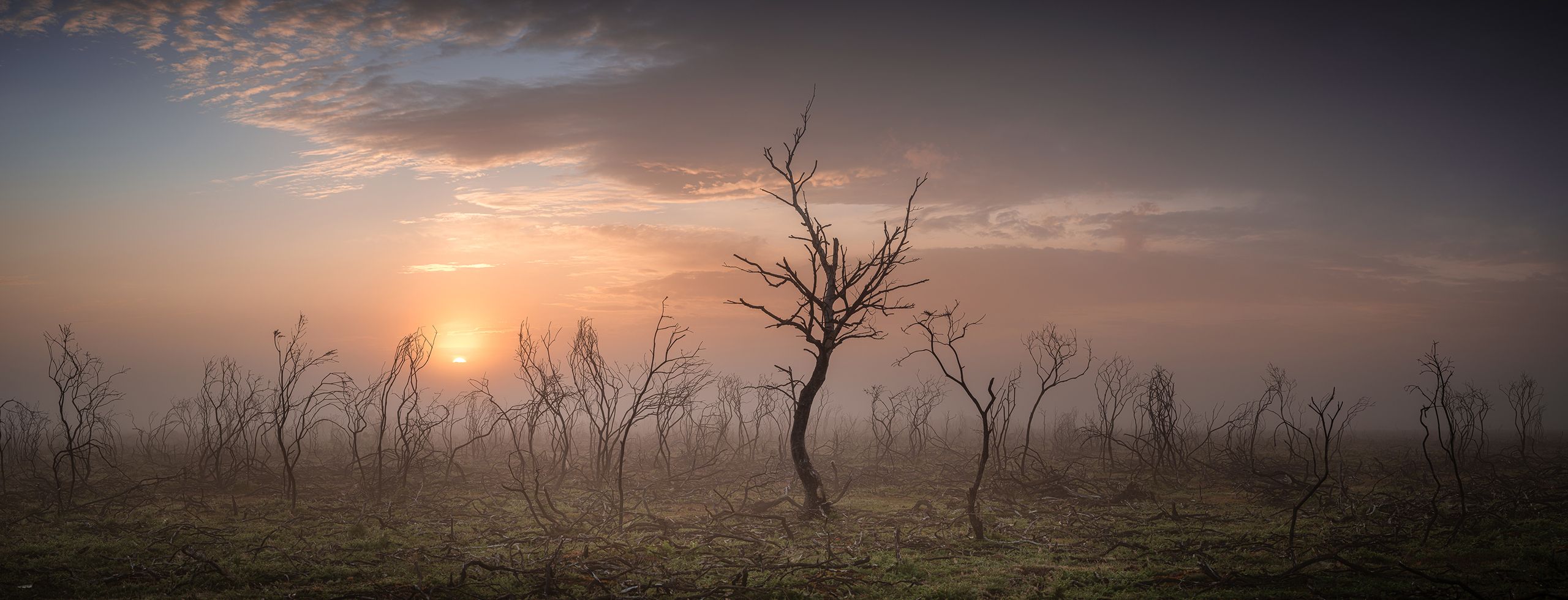 Landscape Photographer of the Year reveals how to convey impressions in ...