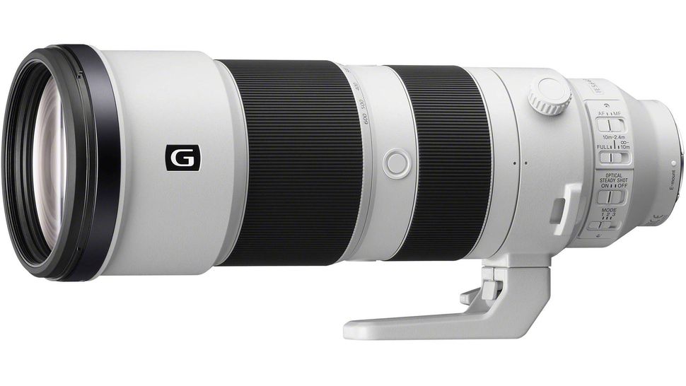 Best lenses for wildlife photography 2025: Wildlife in focus | Live Science