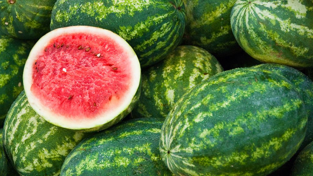 Where did watermelons come from? | Live Science