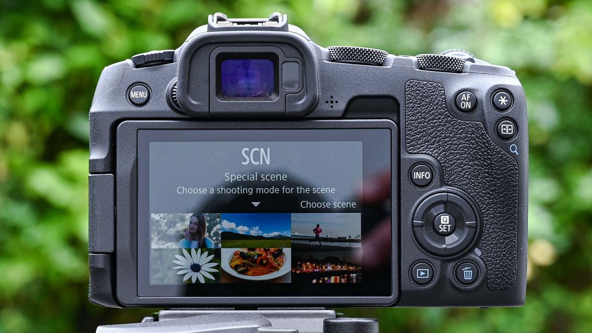 Canon EOS R8 review | Tom's Guide