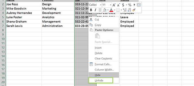 How to Hide Entire Rows or Columns for Cleaner Printing in Excel ...