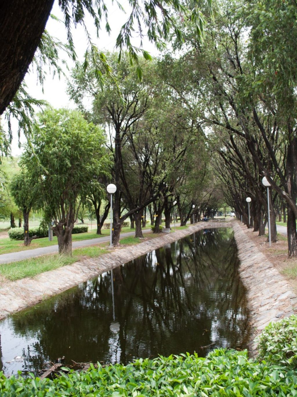 Garden Swales - Tips For Creating A Swale In Your Garden | Gardening ...