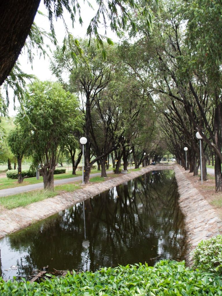 Garden Swales - Tips For Creating A Swale In Your Garden | Gardening ...