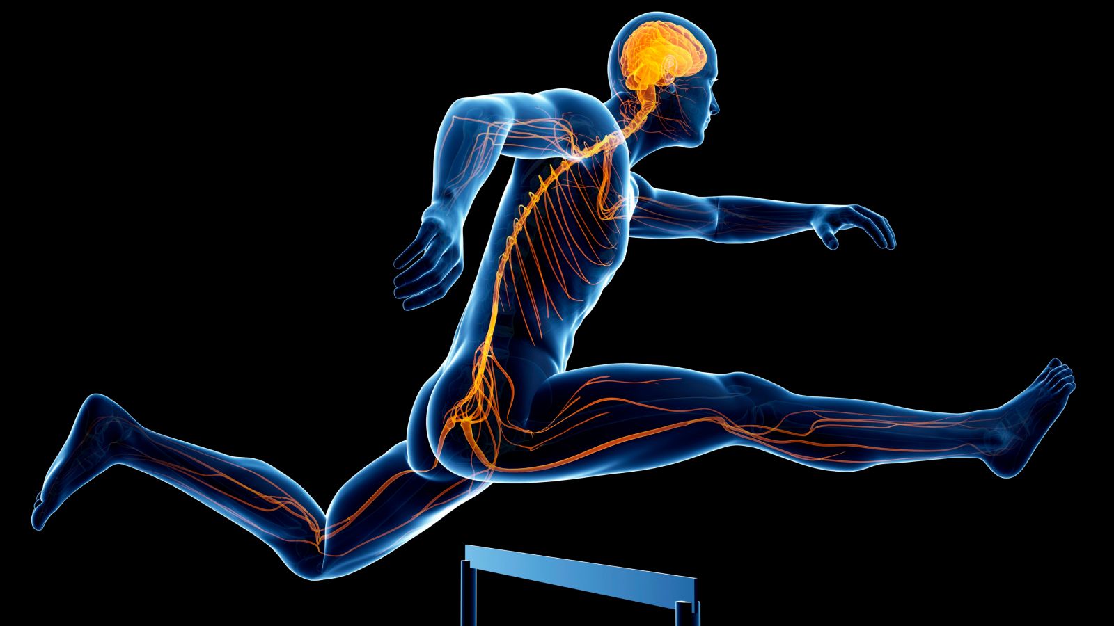 6 ways an athlete's brain differs from an average person's | Live Science