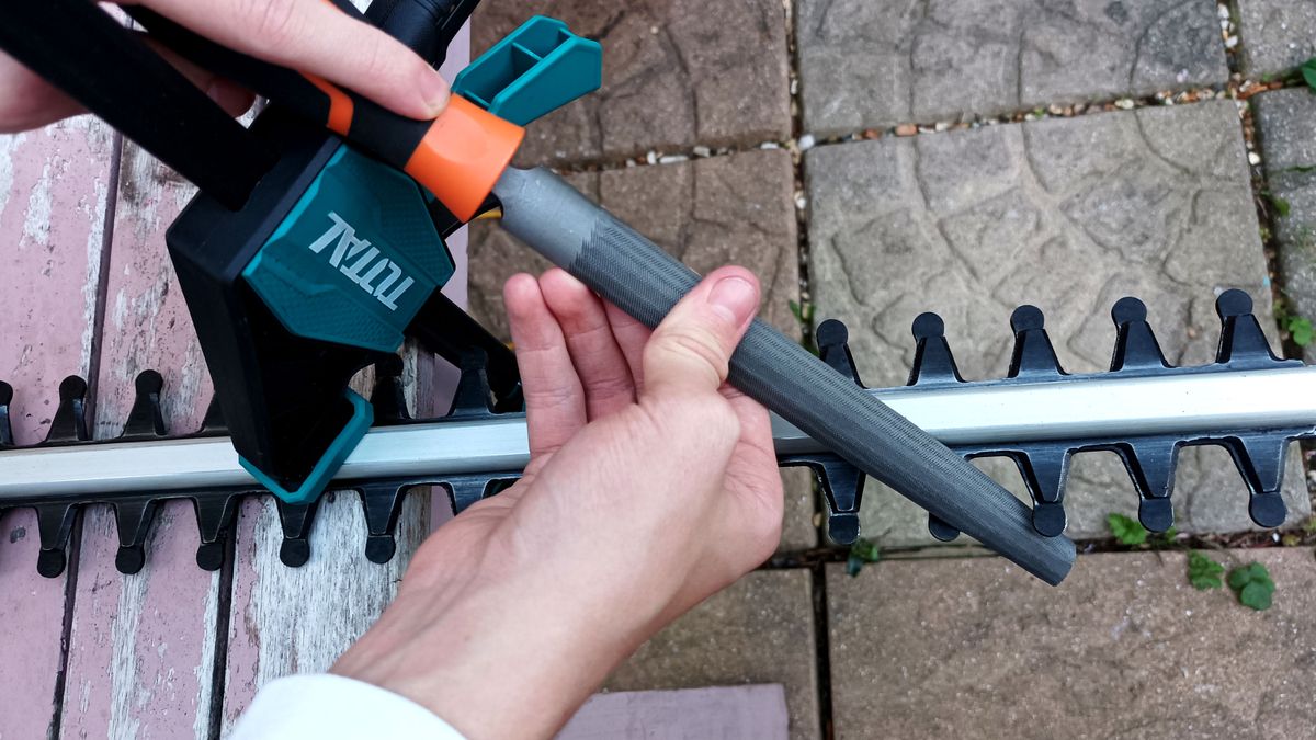 How to sharpen hedge trimmer blades quickly and safely | Homebuilding