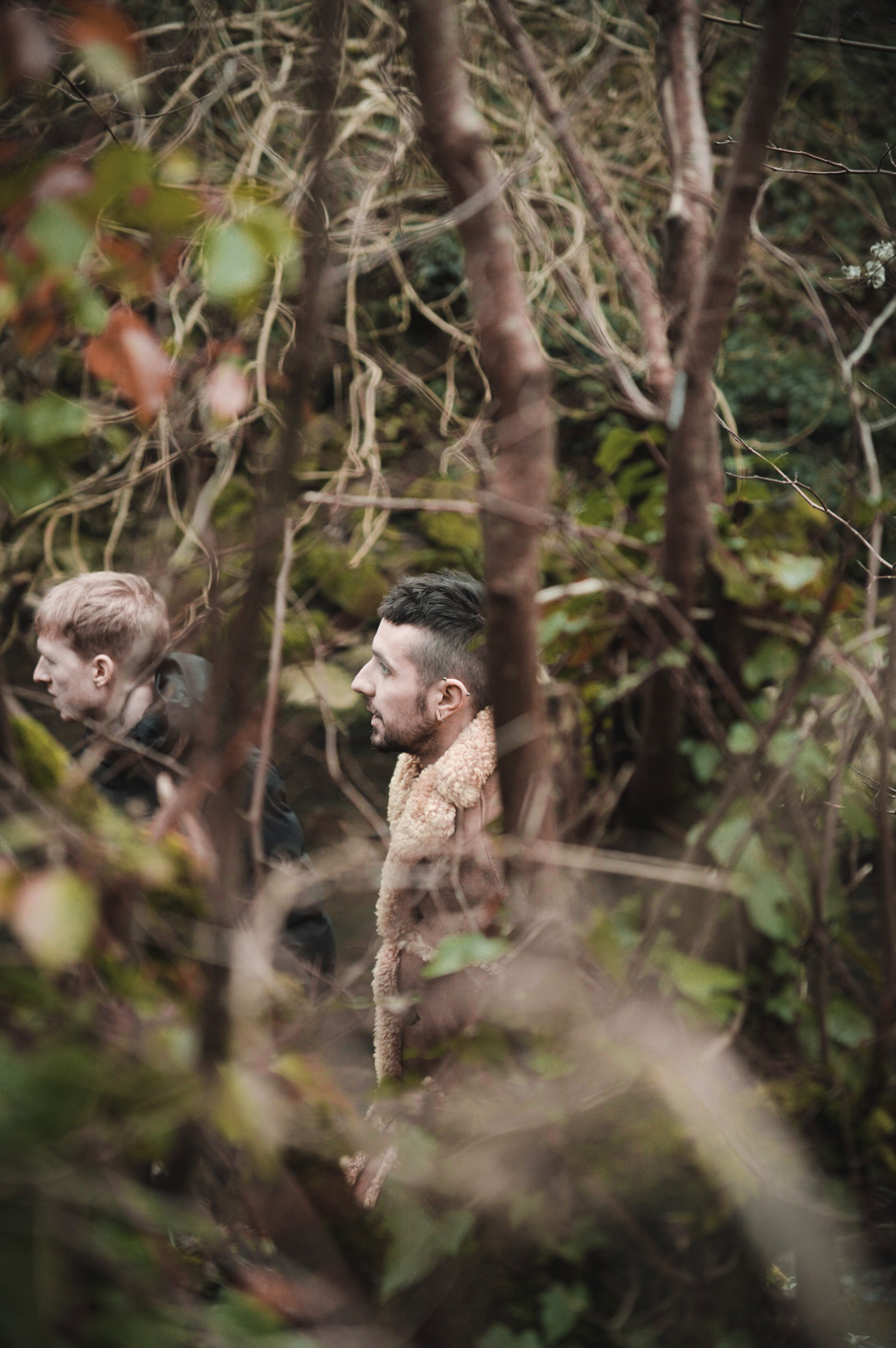 Forest photography: how to capture beautiful woodland scenes | Digital ...