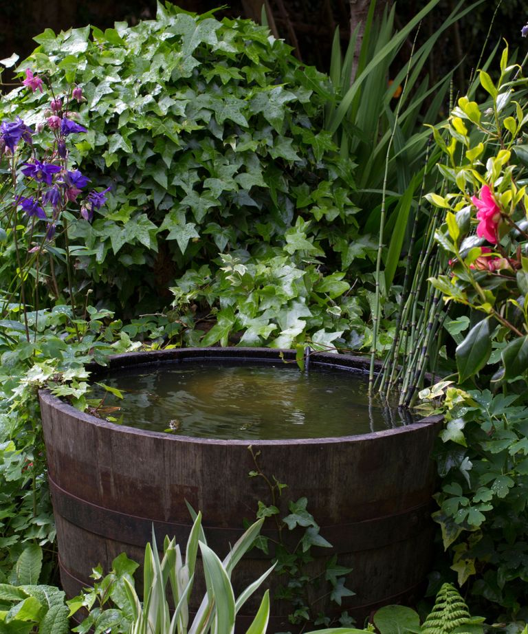 Water garden ideas: 9 ideas for backyards big or small | Homes and Gardens