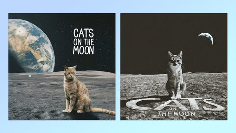 Google's new ImageFX AI image creator lets you make pictures from text ...