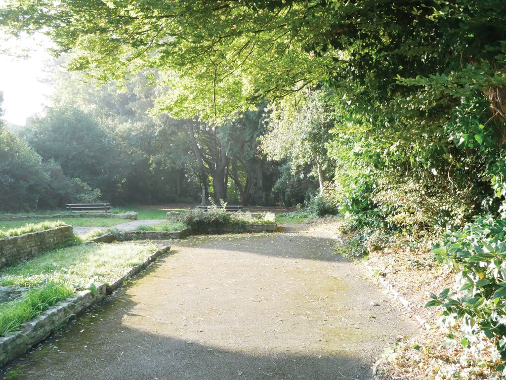 Panasonic Lumix G85 / G80 review | Digital Camera World