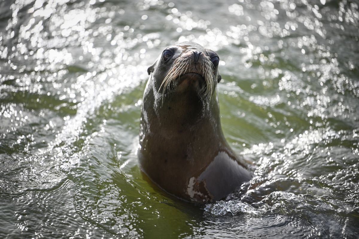 Nikon Z8 review | Digital Camera World