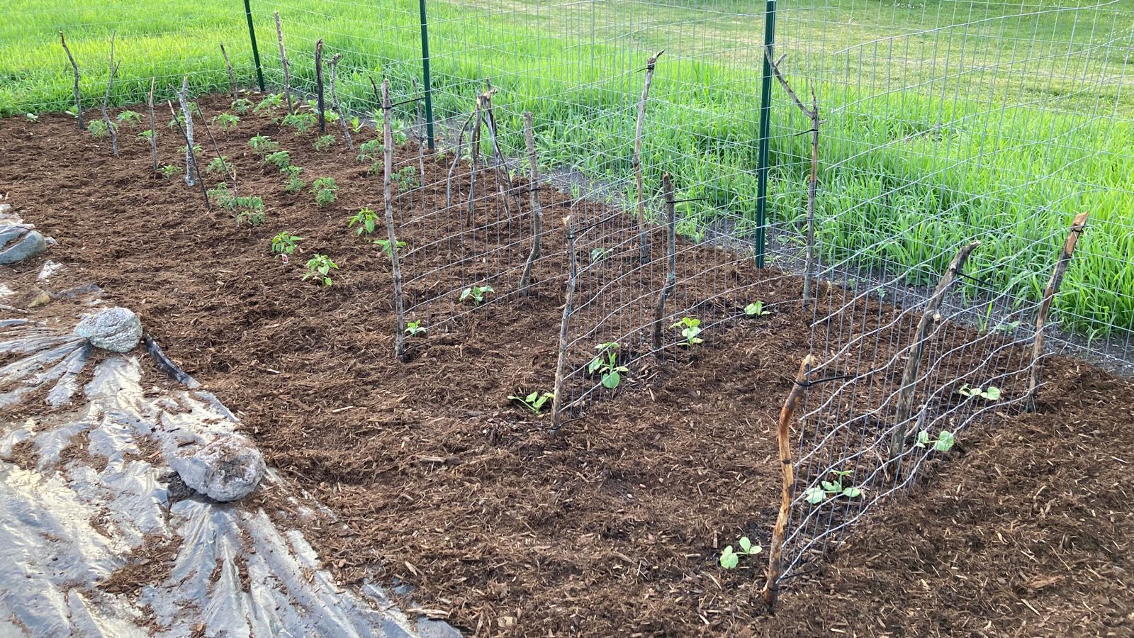 How To Turn An Overgrown Field Into A Garden Full Of Produce ...