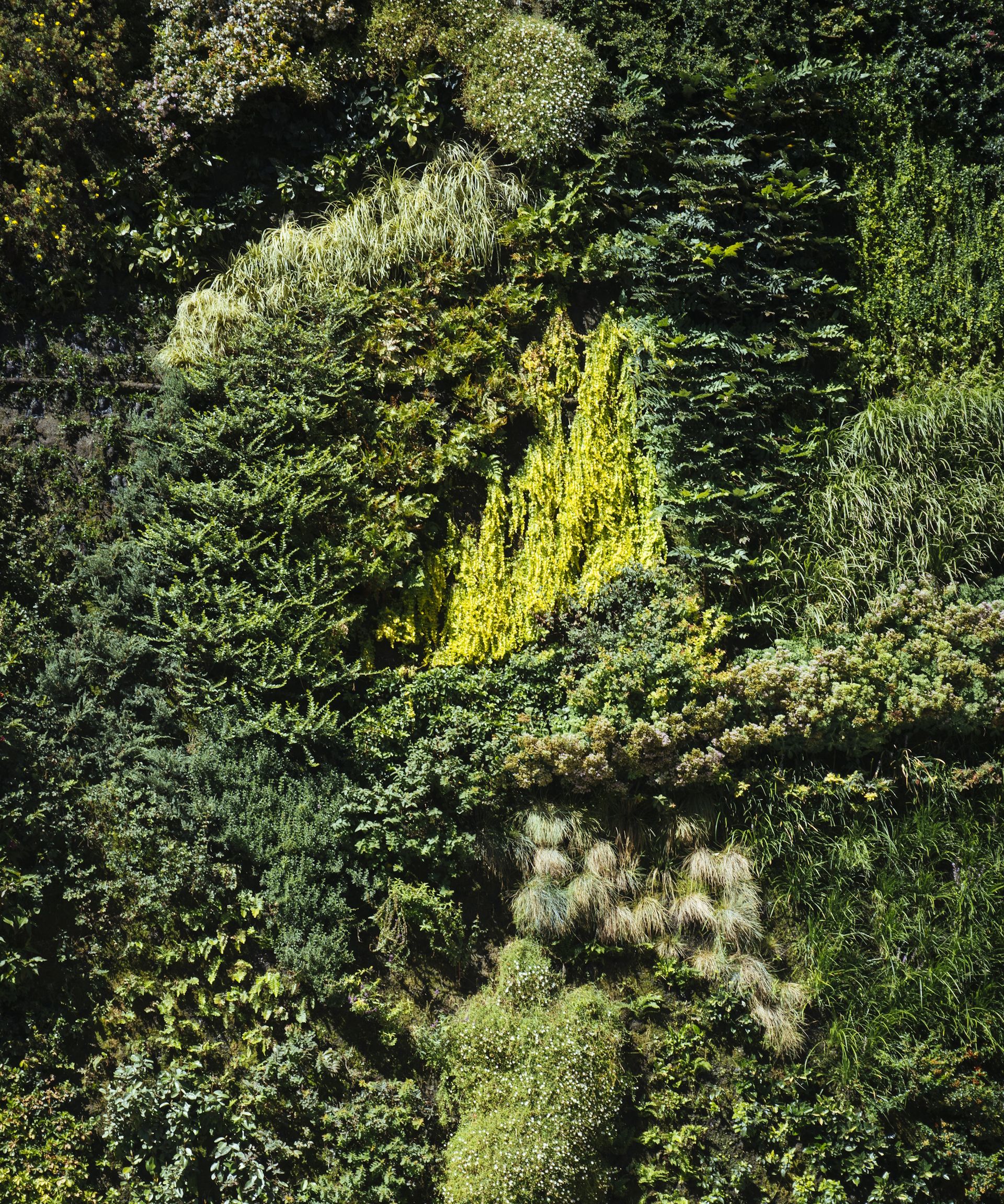 How to landscape with moss in your yard: 5 inspiring ideas | Homes and ...