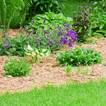 Tips & Information about Mulch | Gardening Know How
