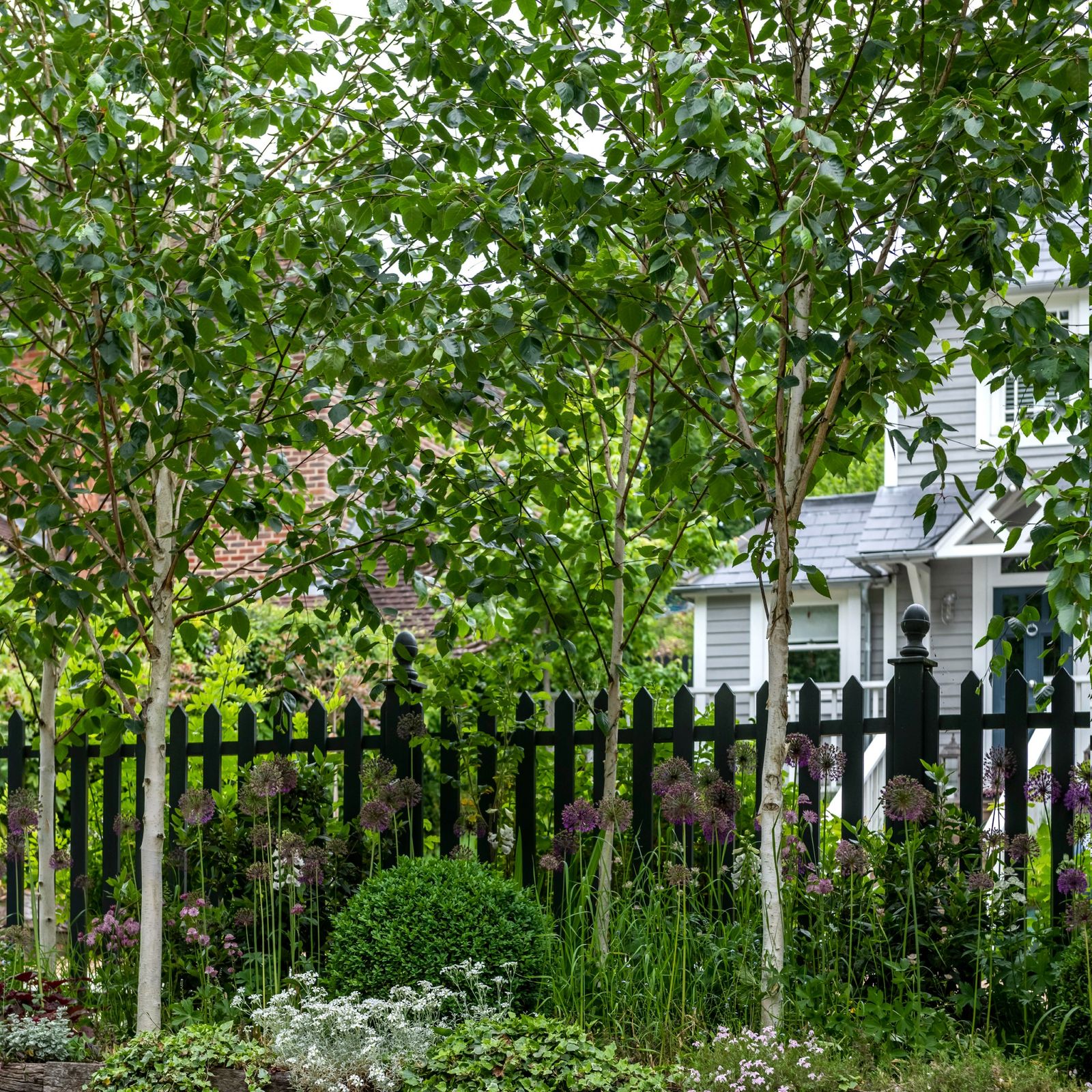 How to plant bare root trees according to experts | Ideal Home