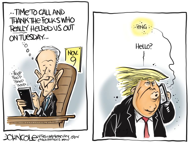 9 brutally funny cartoons about Trump's midterms disaster | The Week